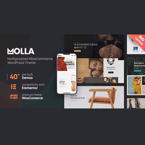Molla | Multi-Purpose WooCommerce Theme - WordPress Tema Market